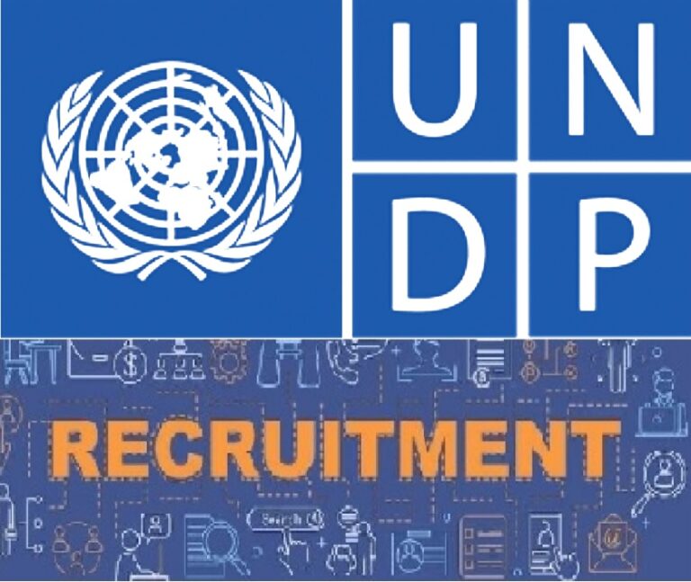 UNDP Career Portal for 2023/2024 Job Applications